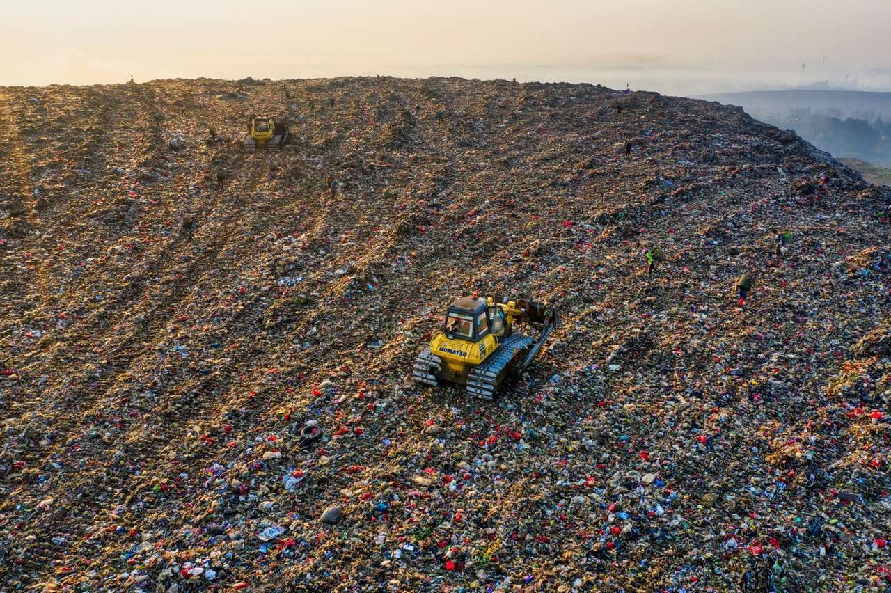 Environmental Impact of Paper Waste