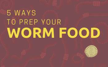 5 ways to prep your worm food - Composting with Red Worms